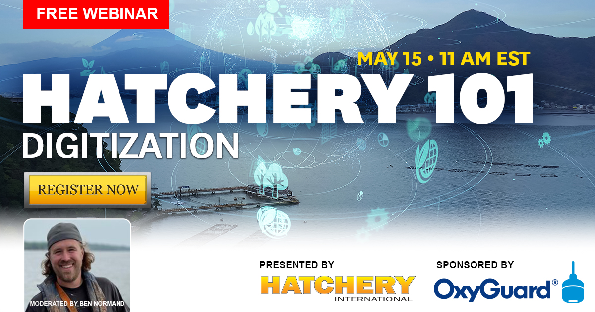 Hatchery 101: Digitization - Hatchery International Hatchery 101: Digitization - Hatchery International