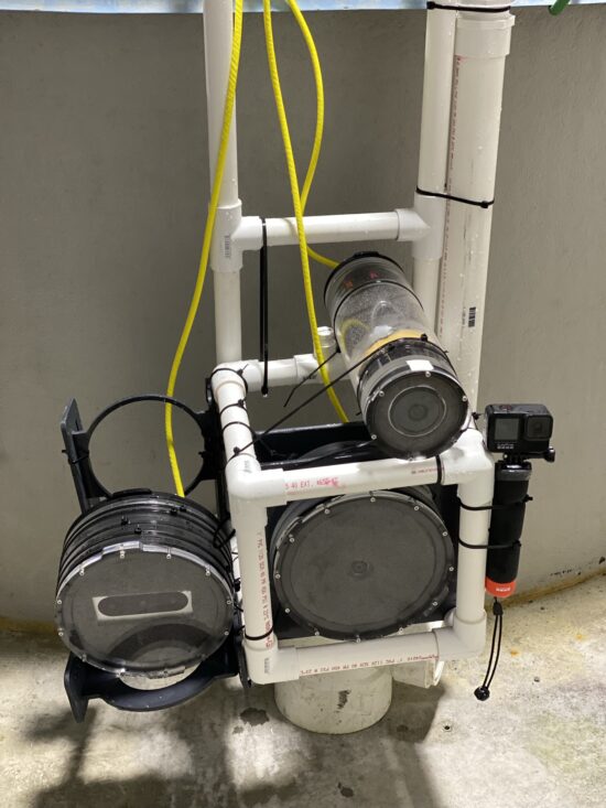 Artificial intelligence aided in-tank fish detection in RAS - Hatchery ... Artificial intelligence aided in-tank fish detection in RAS - Hatchery ...